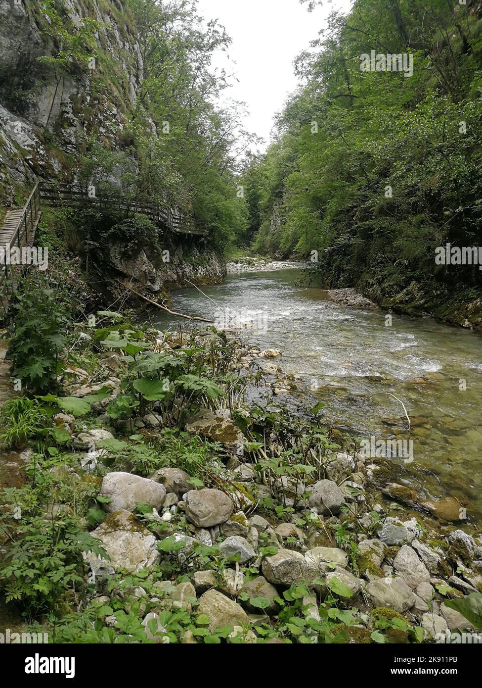 Rzav hi-res stock photography and images - Alamy