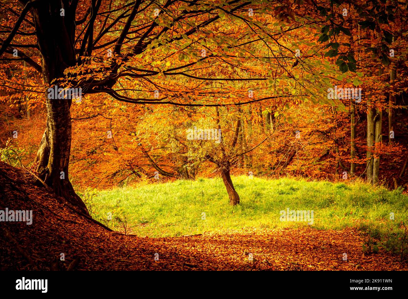 Autumn in Buila Vanturarita National Park, Carpathian Mountains ...