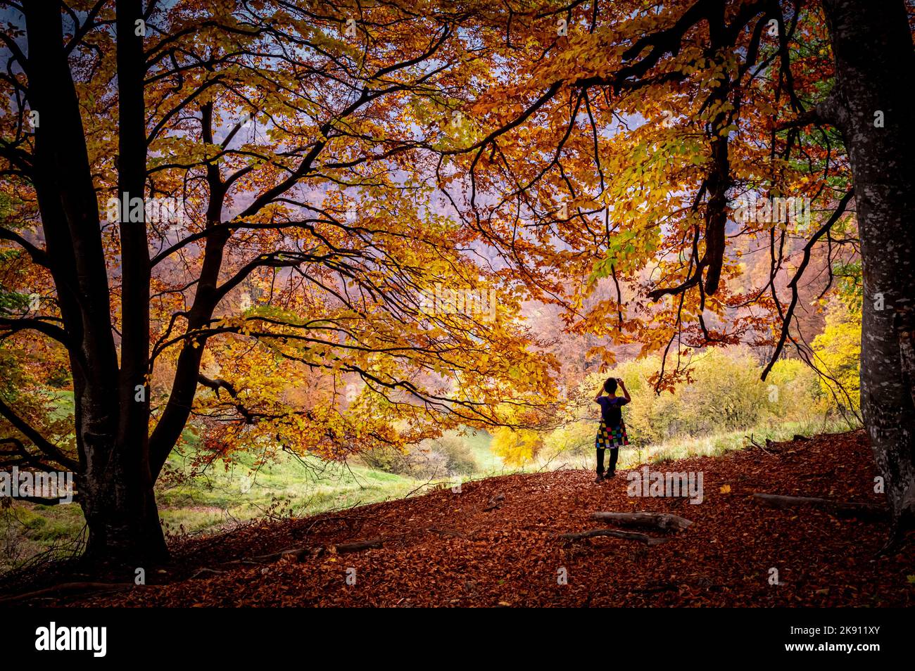 Autumn in Buila Vanturarita National Park, Carpathian Mountains ...