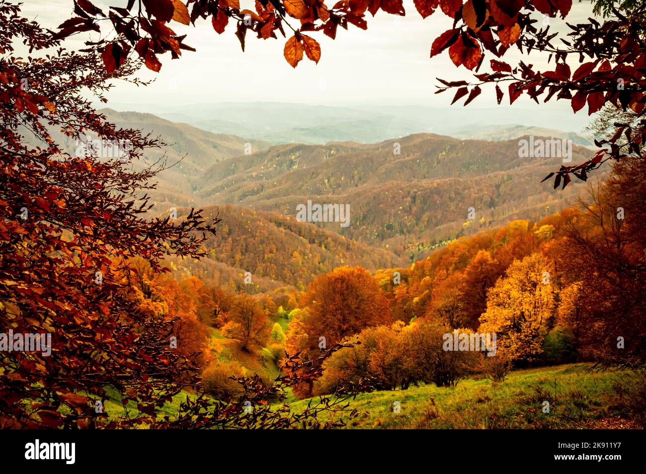 Autumn in Buila Vanturarita National Park, Carpathian Mountains ...
