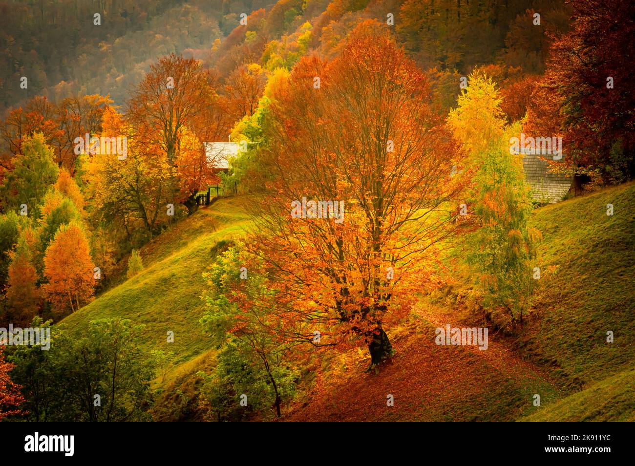 Autumn in Buila Vanturarita National Park, Carpathian Mountains ...
