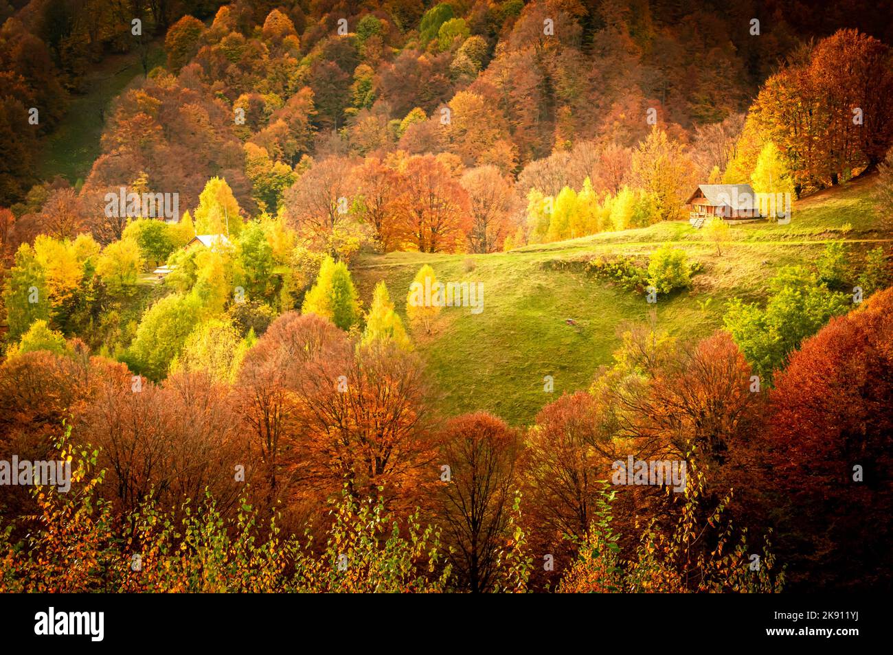 Autumn in Buila Vanturarita National Park, Carpathian Mountains ...