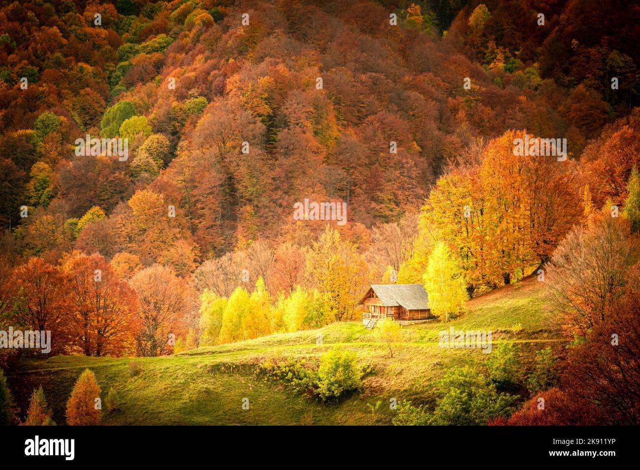 Autumn in Buila Vanturarita National Park, Carpathian Mountains ...