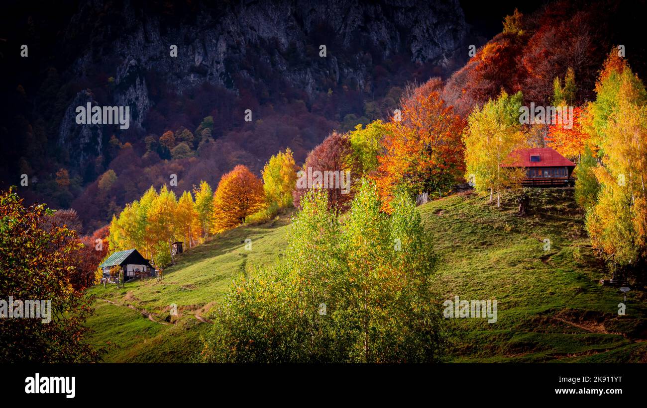 Autumn in Buila Vanturarita National Park, Carpathian Mountains ...