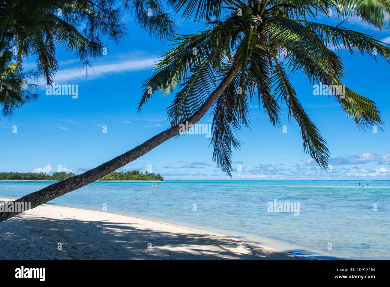 The beautiful tropical beach of the Cook island with palm trees - great ...