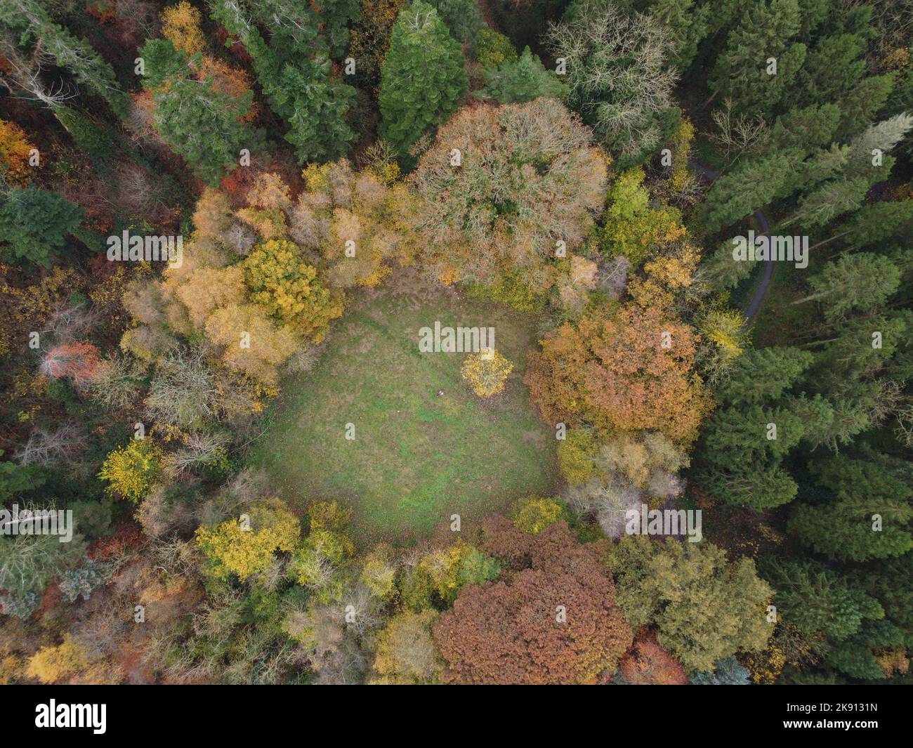 An aerial view of a fall forest with a clearing in the center Stock ...