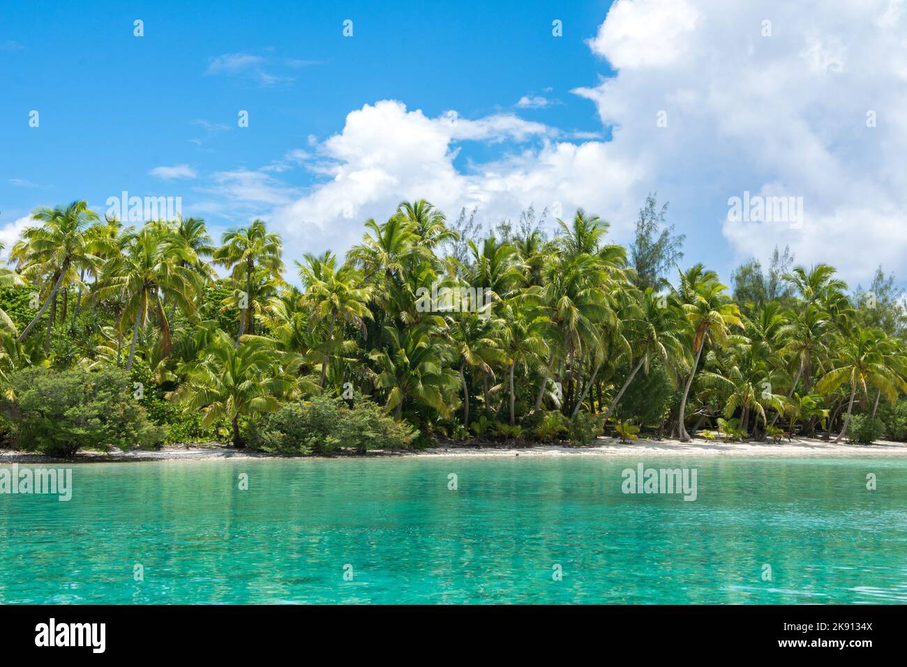 The beautiful tropical beach of the Cook island with palm trees - great ...