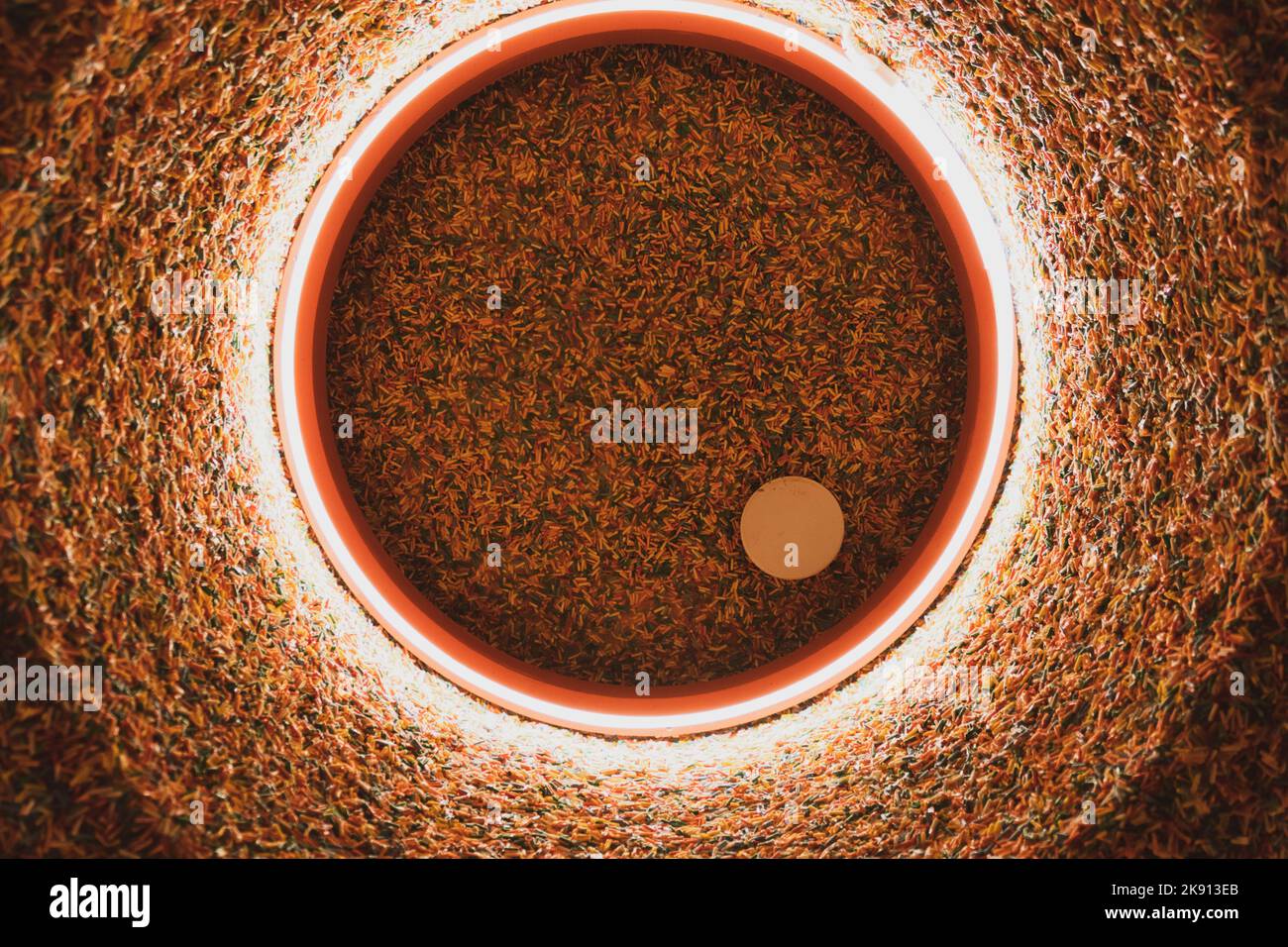 A top view of the pool of sprinkles at the ice cream museum Stock Photo ...