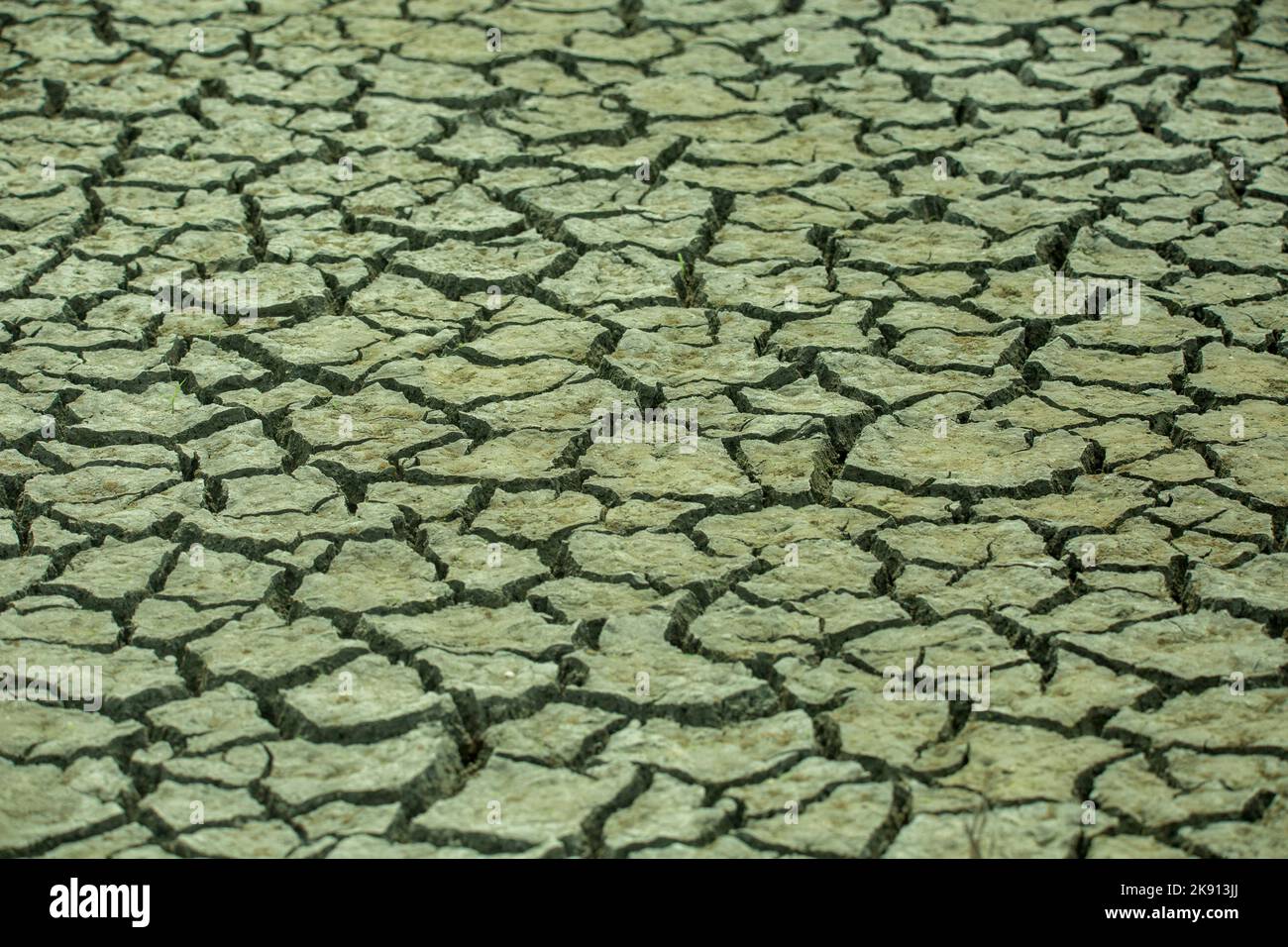 Koonthankulam bird sanctuary hi-res stock photography and images - Alamy