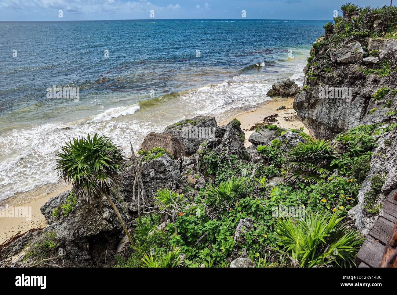 The beautiful view of the tropical Tulum with palm trees in Mexico ...