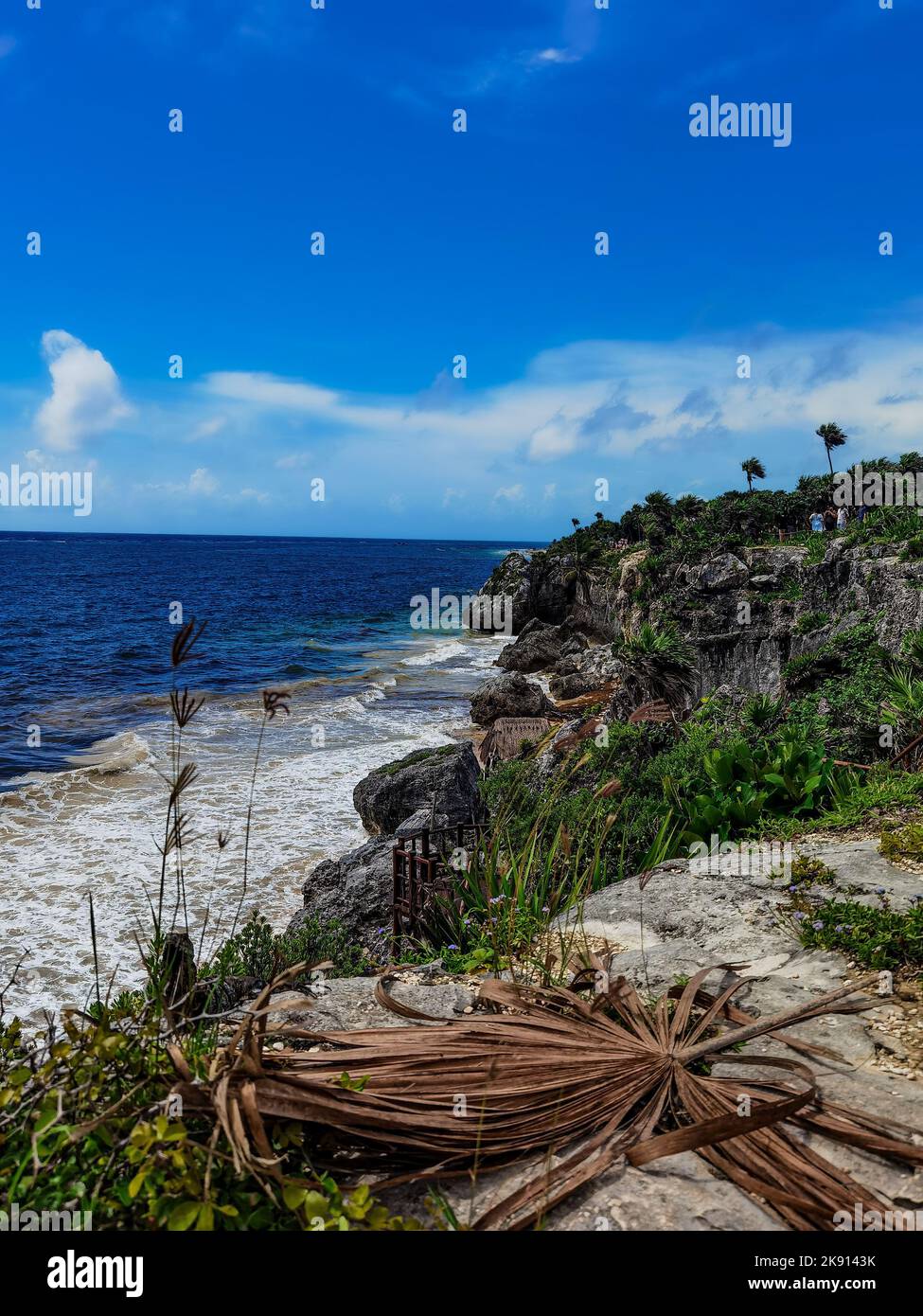A vertical shot of the tropical Tulum with palm trees in Mexico Stock ...