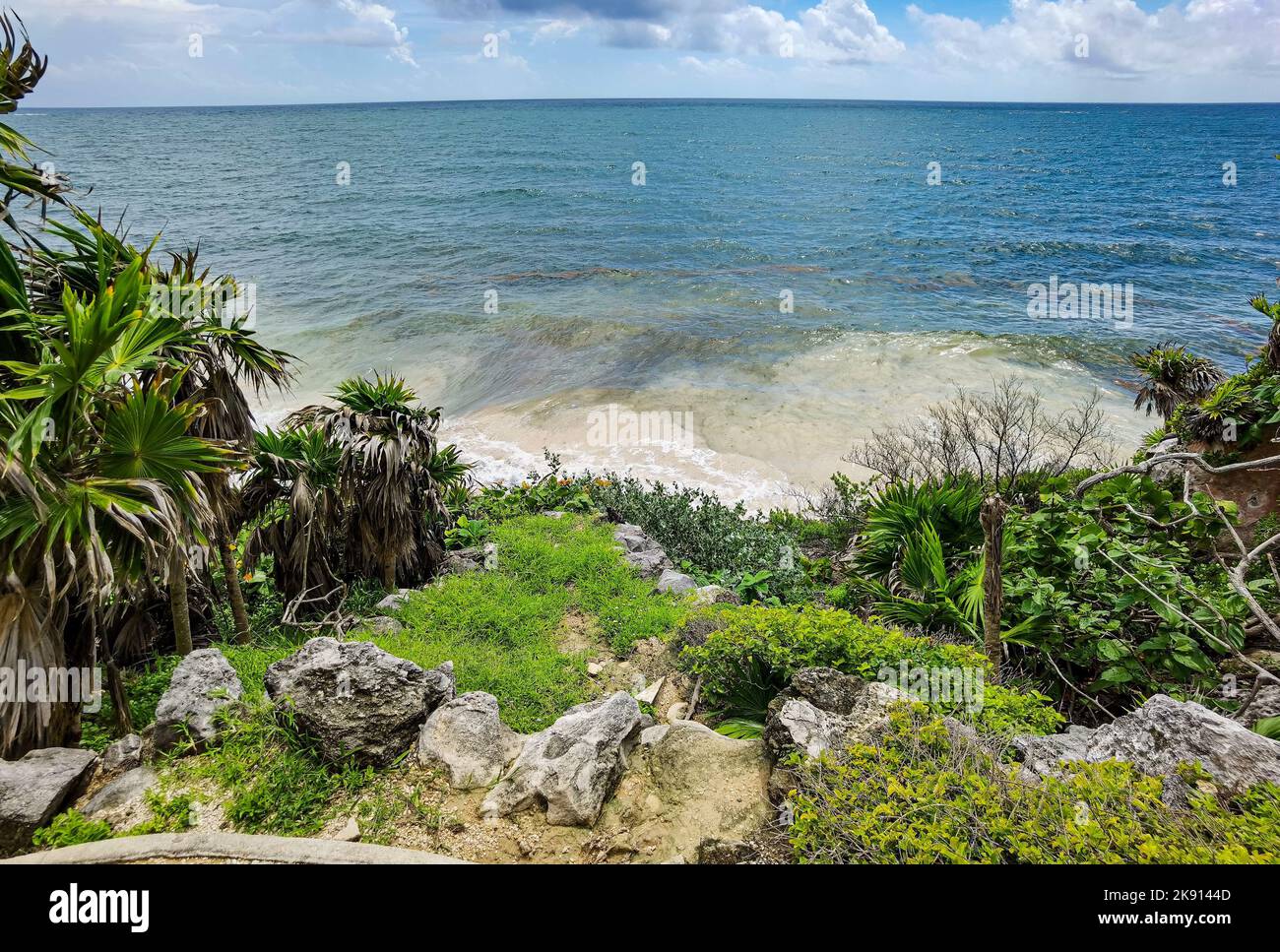 The beautiful view of the tropical Tulum with palm trees in Mexico ...