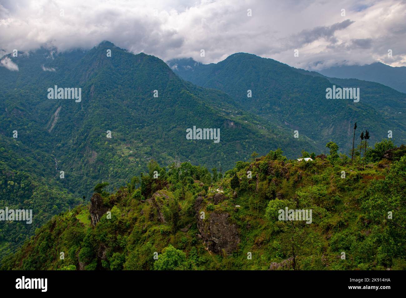 A landscape with forested, misty mountains and gloomy sky background ...