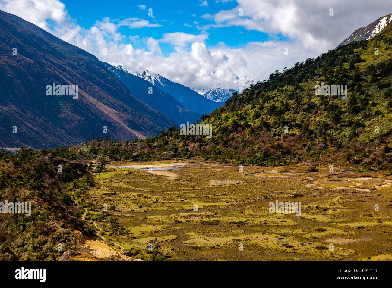 A low-angle of landscape in Chopta valley with yellowing mountains ...