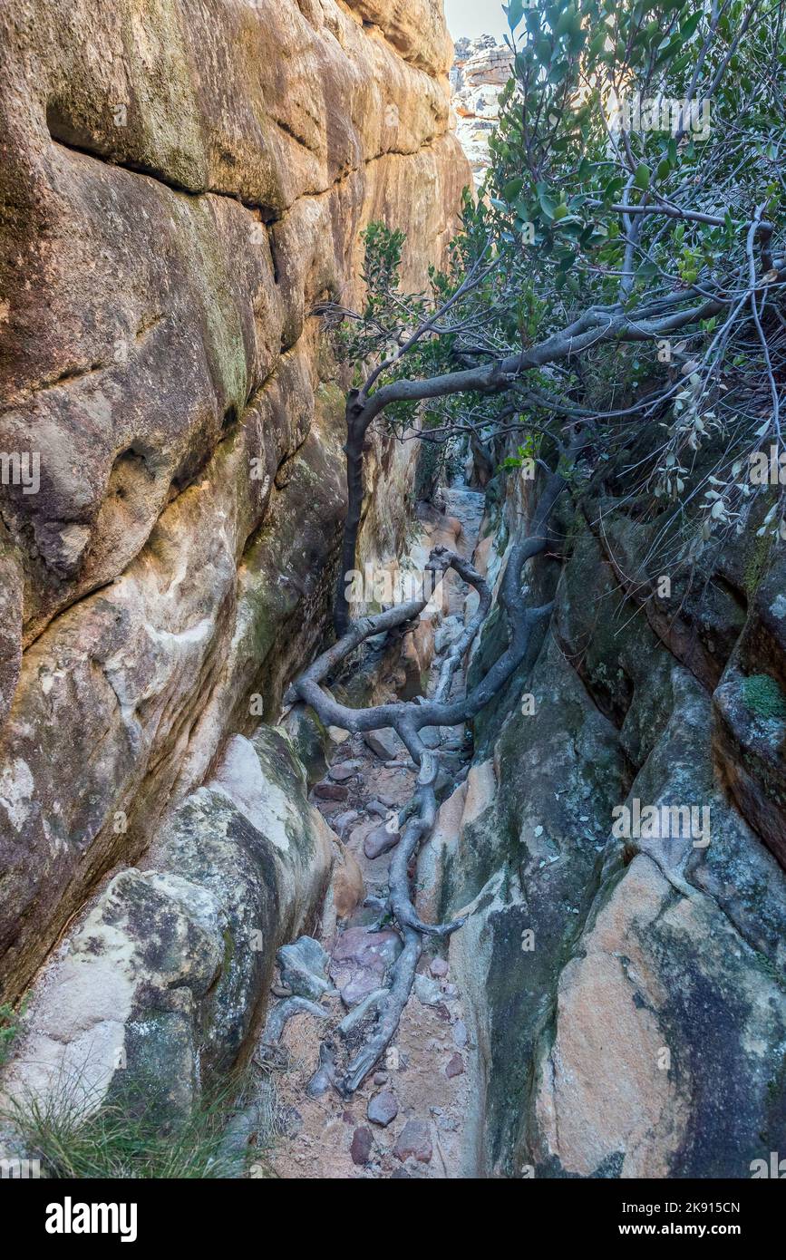 Wolfberg mountain hi-res stock photography and images - Alamy