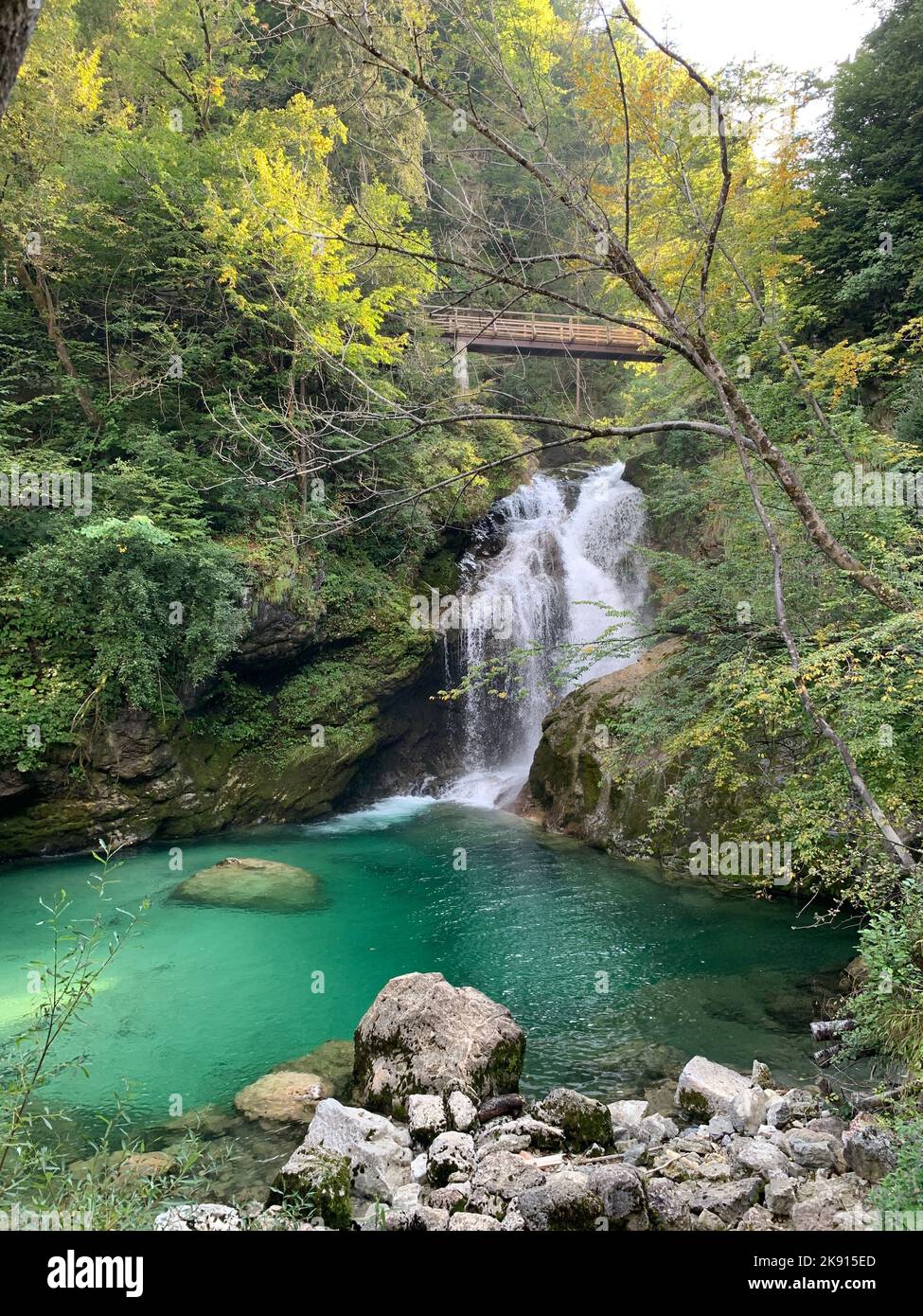 A vertical of a small waterfall falling into a plunge pool Stock Photo ...