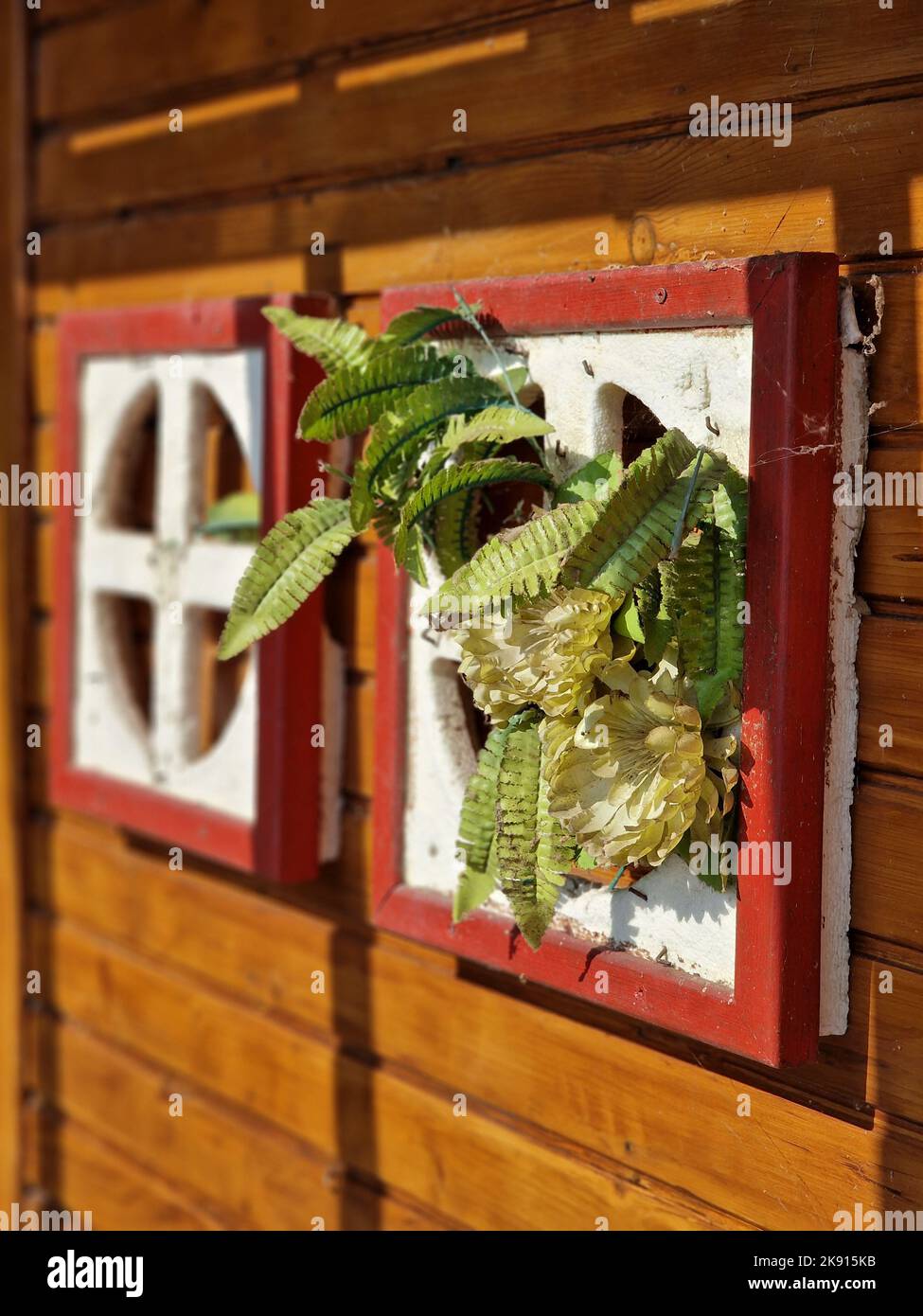 A green plant growing out of a small wooden window of a house Stock ...
