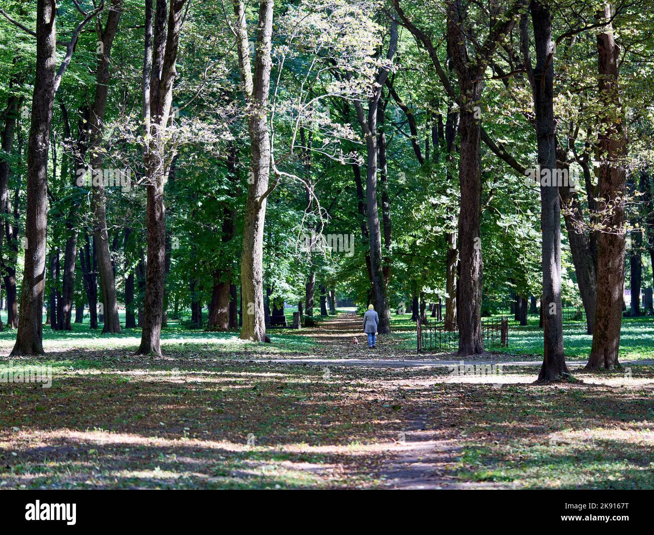 A woman walking with a dog in the Great Cemetery of Riga Stock Photo ...