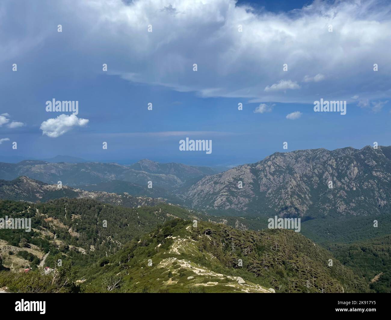 An aerial view of a forested hill Stock Photo - Alamy