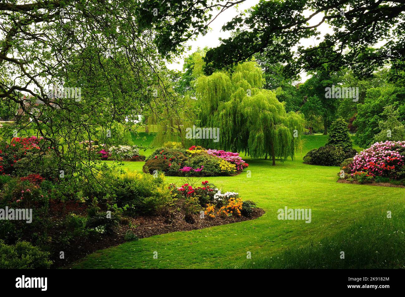 A magical green park with colorful flowers Stock Photo - Alamy
