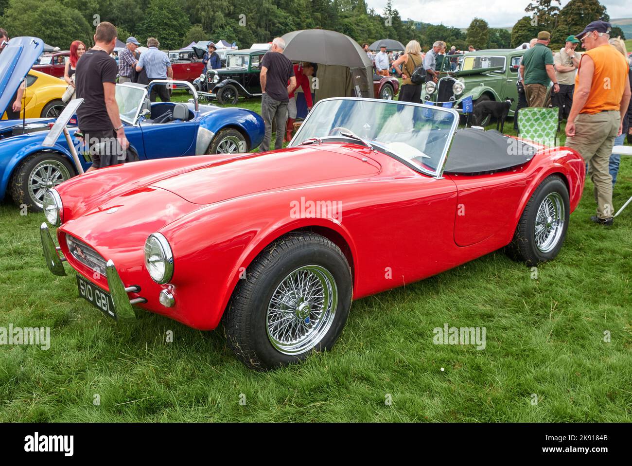 Shelby 260 cobra hi-res stock photography and images - Alamy