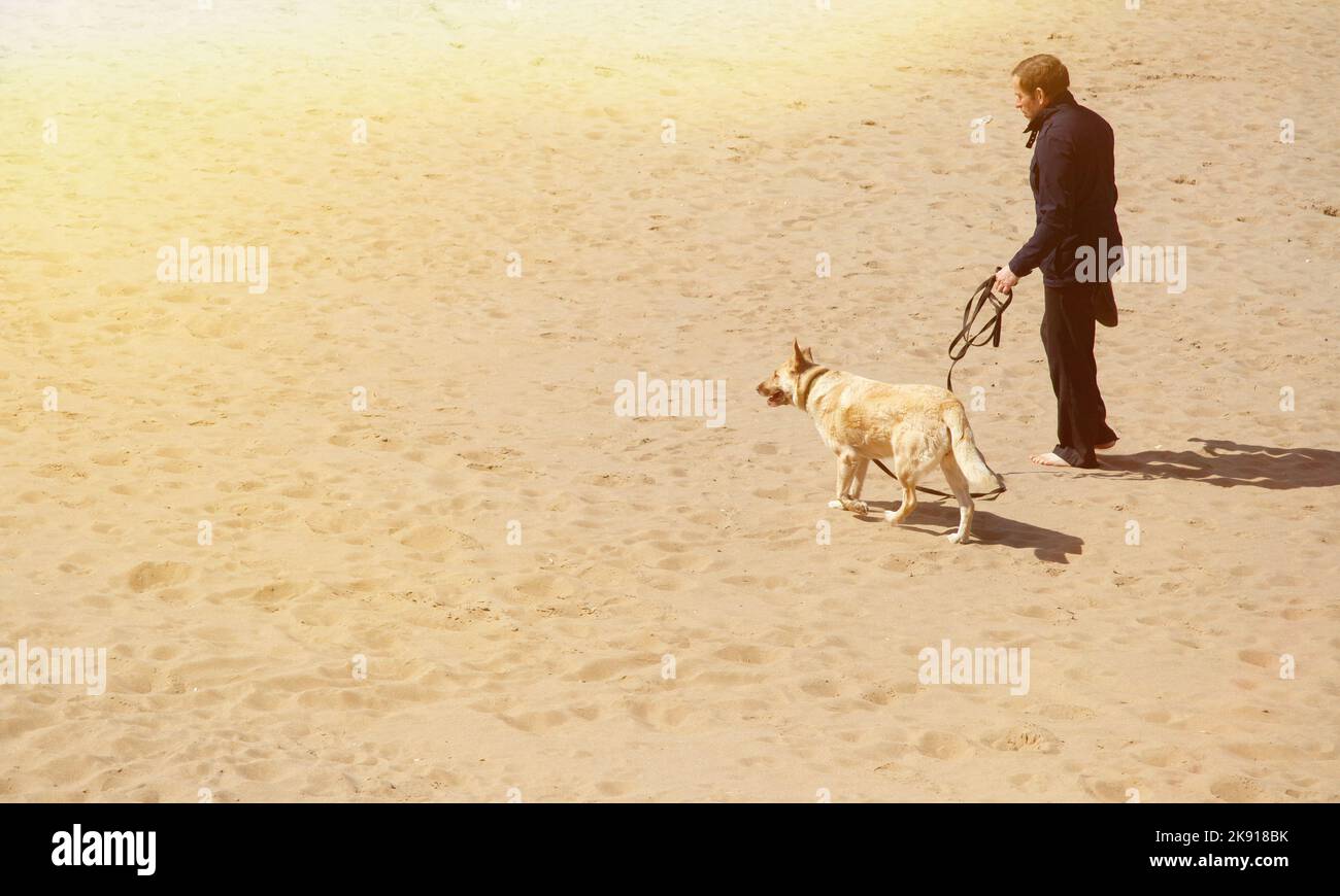 Dog walking. Walk of man and dog in the park. Walking in the park ...