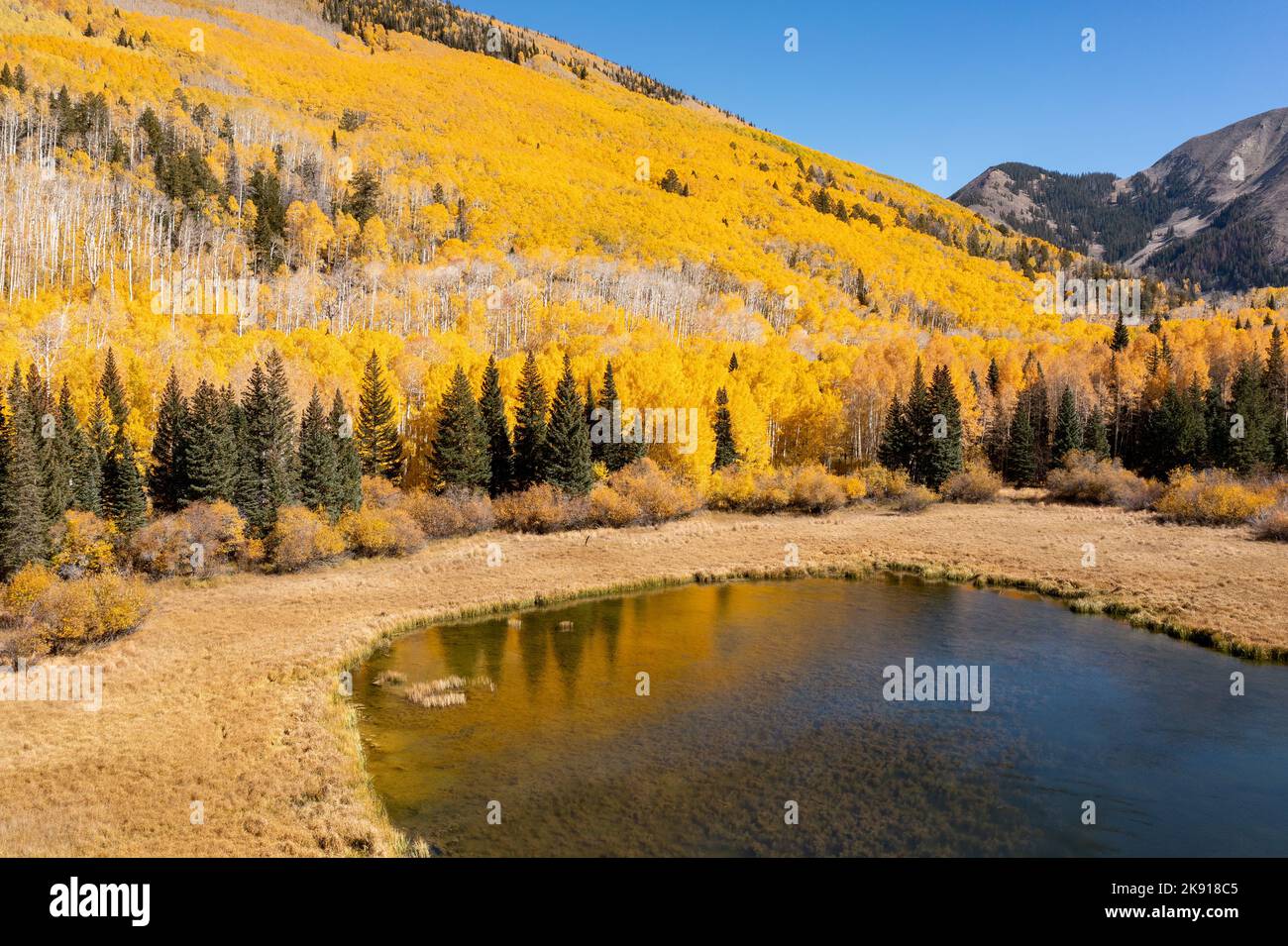 Aspen trees in fall color by Warner Lake in the La Sal Mountains in the ...