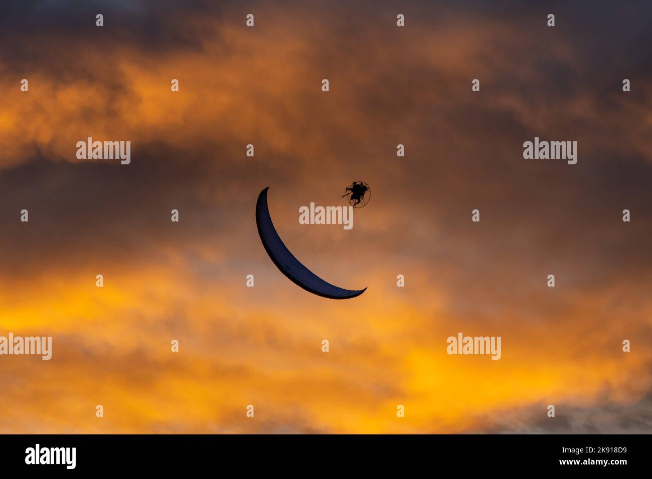 A powered paraglider performs an aerobatic loop while flying at sunset ...