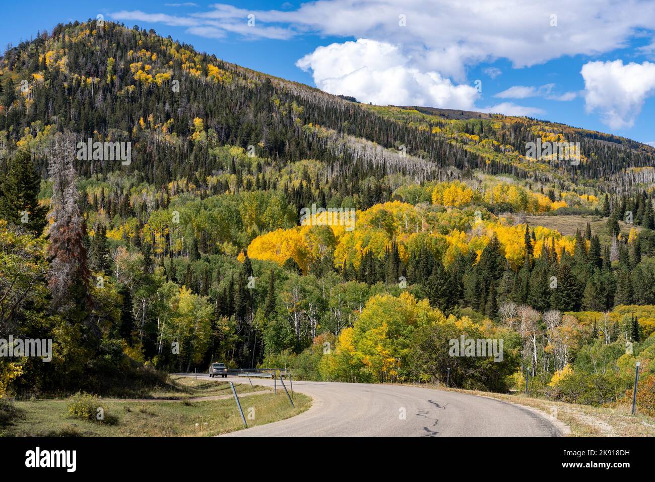 A road through the trees in fall color in the Manti-La Sal National ...
