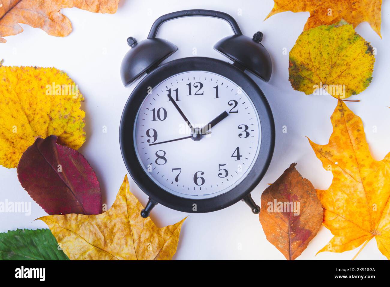 Alarm clock on white background and autumn leaves of different colors ...