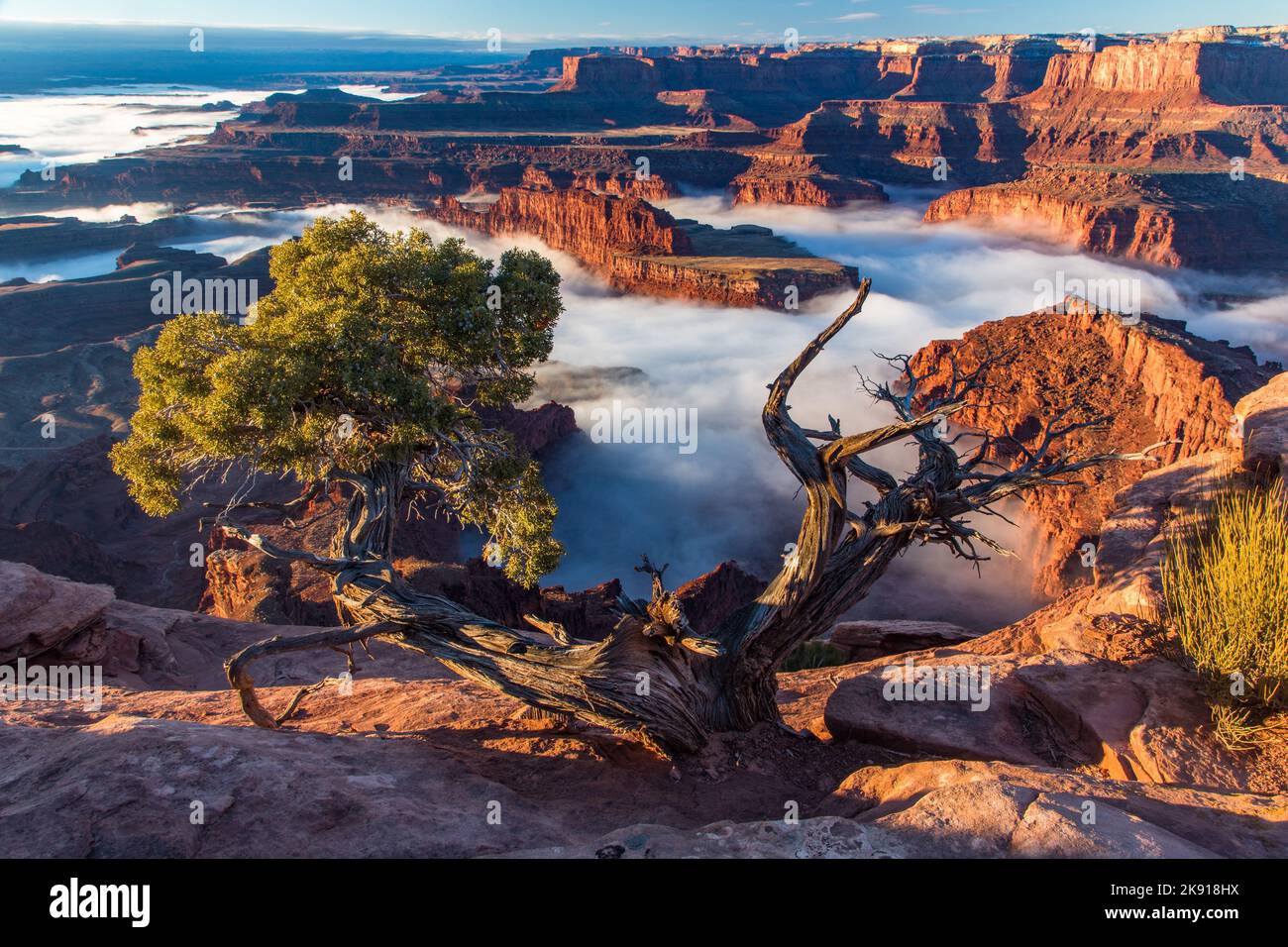 A winter temperature inversion produces rare ground fog in the canyons ...