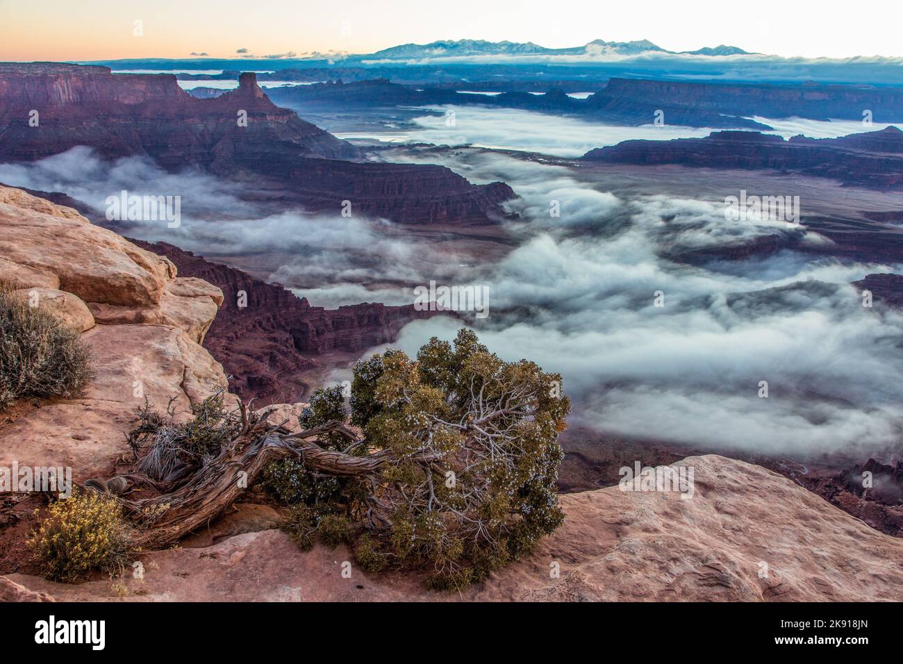 A winter temperature inversion produces rare ground fog in the canyons ...
