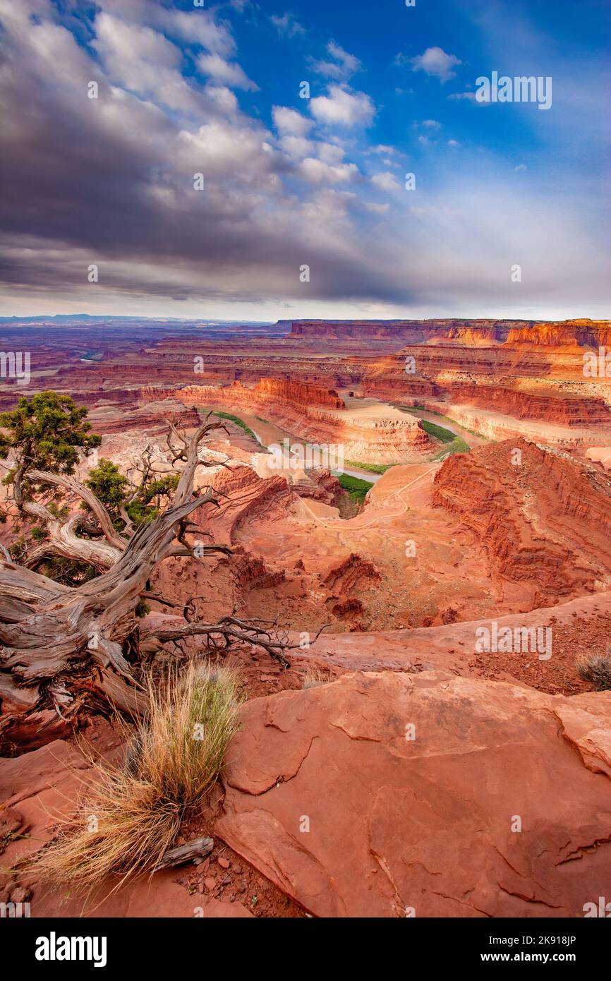 The Goose Neck of the Colorado River and Canyonlands National Park ...