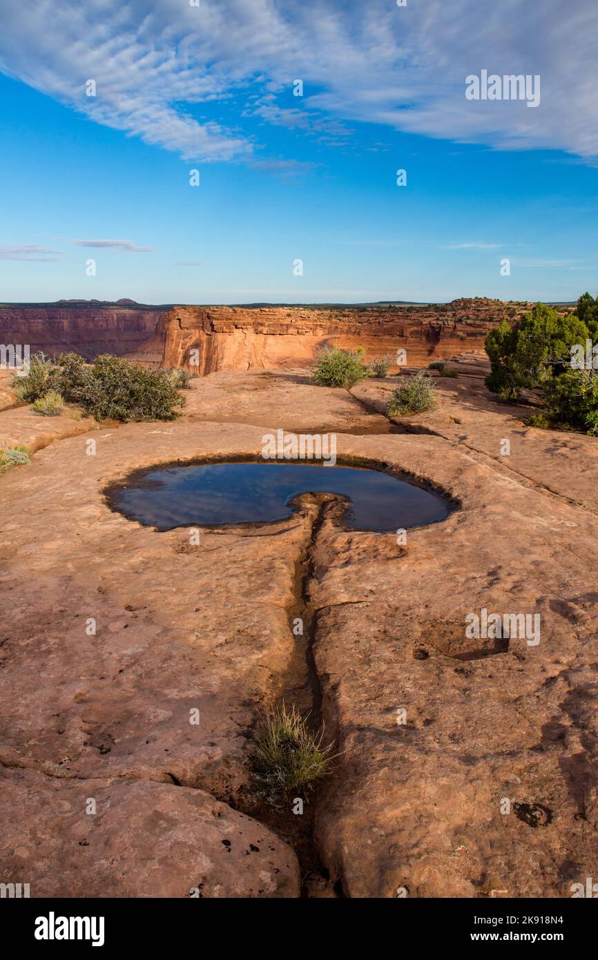 A tree-shaped pothole in the Kayenta sandstone at Dead Horse Point ...