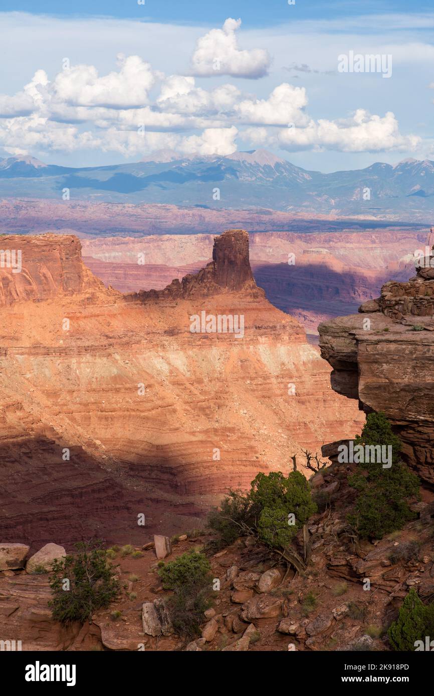 Spotlighting on a Wingate sandstone tower with the La Sal Mountains ...