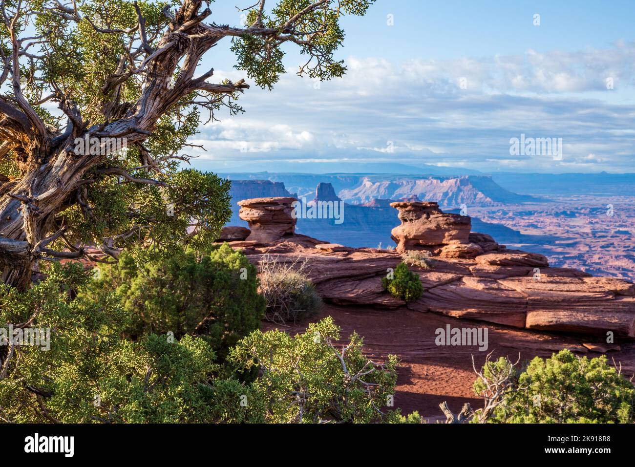 View south from Dead Horse Point State Park towards Hatch Point and the ...