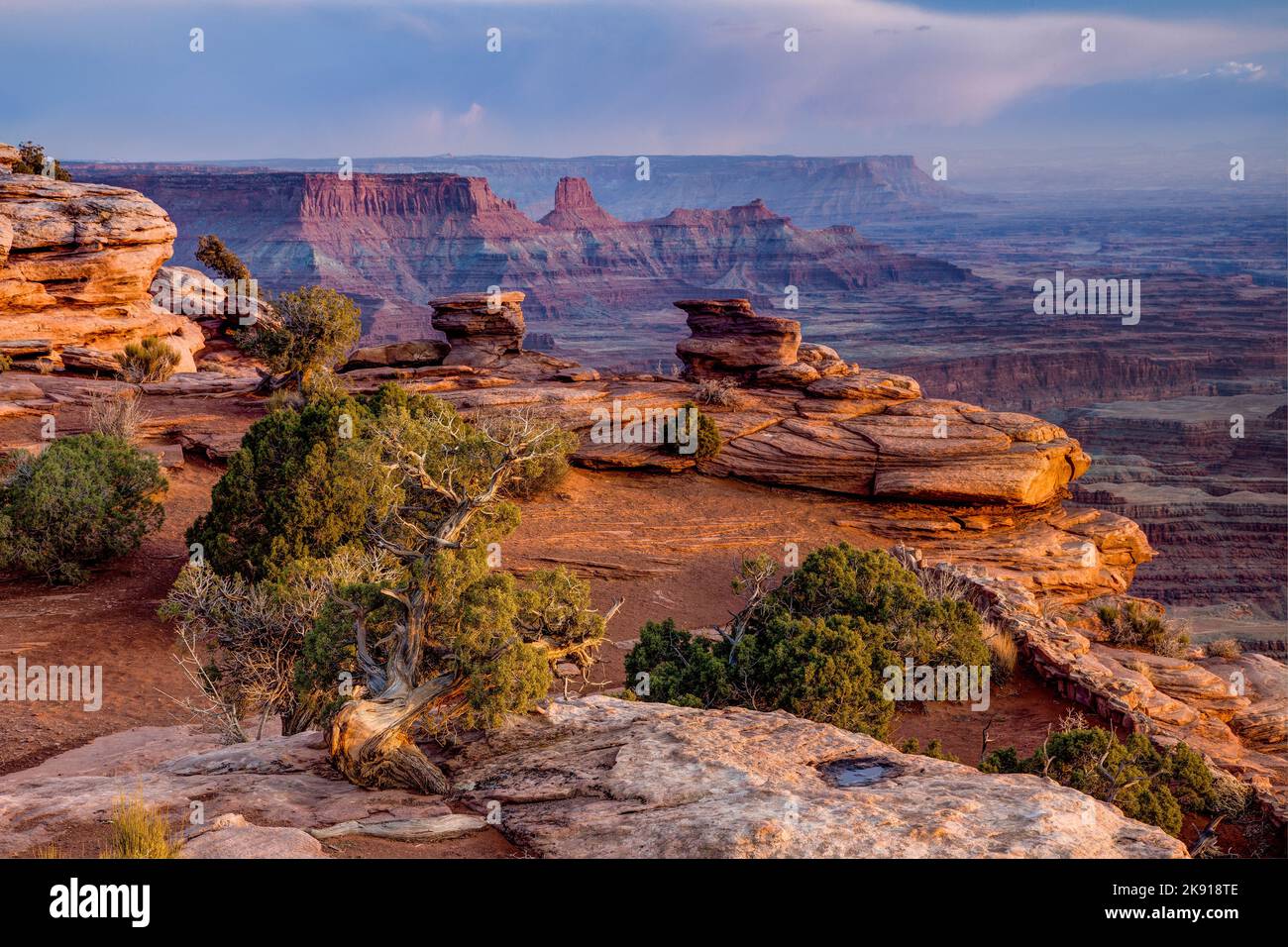 View south from Dead Horse Point State Park towards Hatch Point and the ...