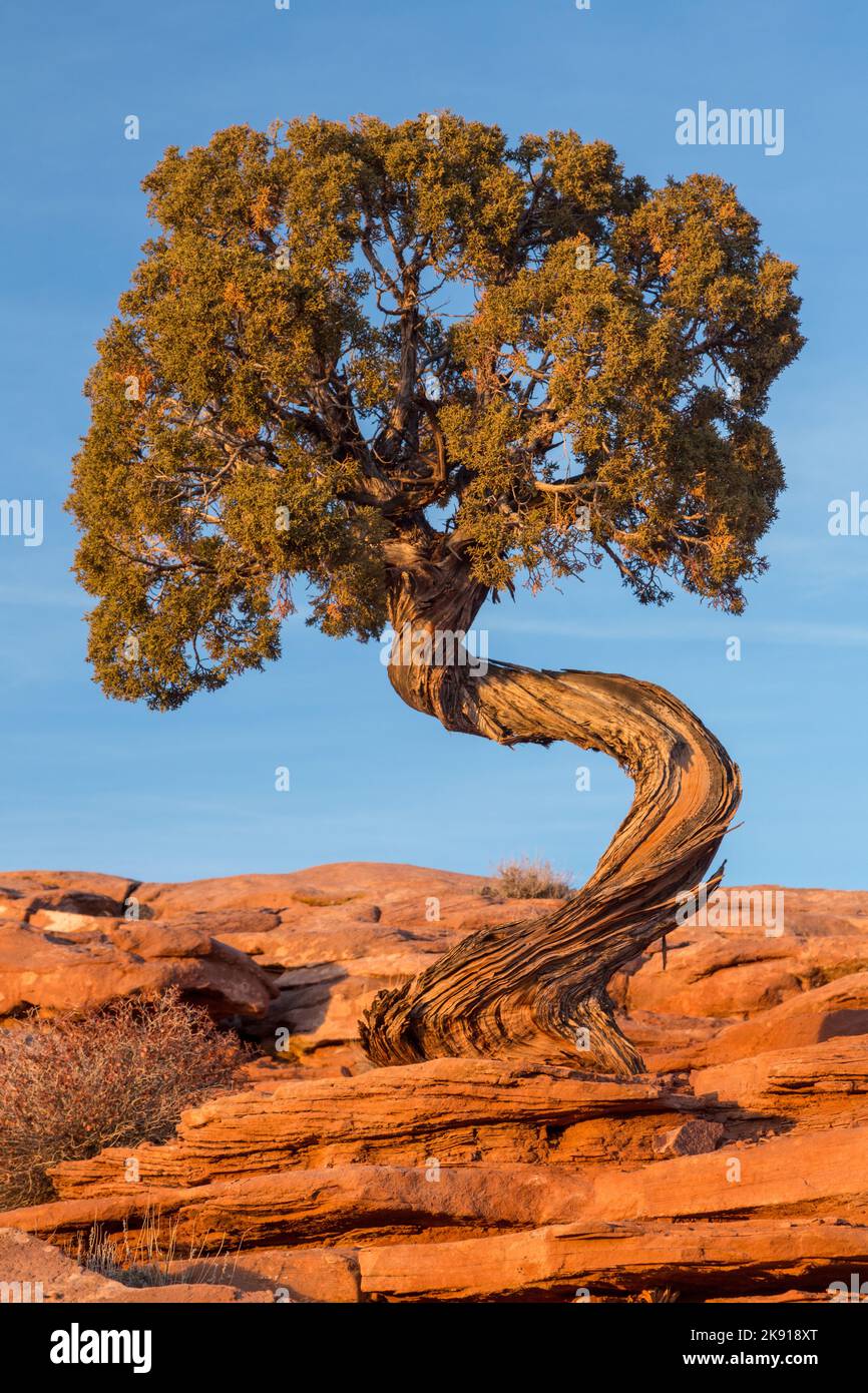 720 degree twist hi-res stock photography and images - Alamy