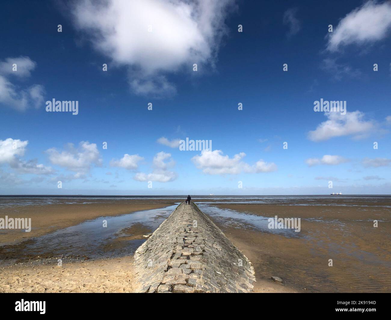 A high-angle of a father and son silhouettes walking on the dry steppe ...