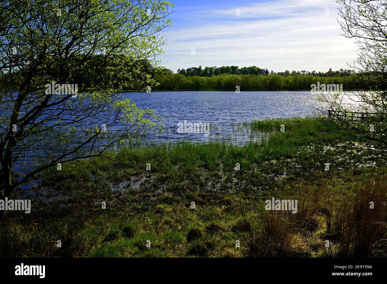 The Loch Ardinning haven with green trees in Scotland Stock Photo - Alamy