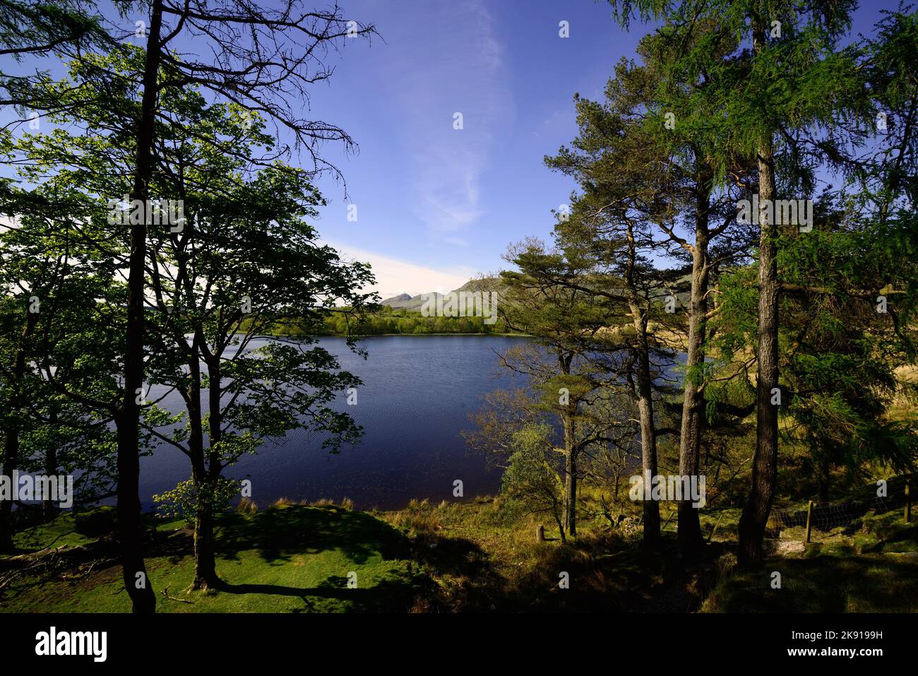 The Loch Ardinning haven with green trees in Scotland Stock Photo - Alamy