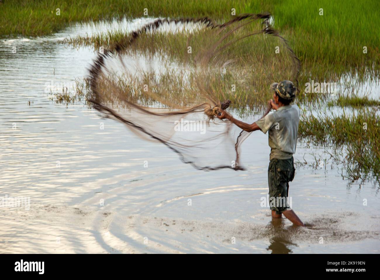 A man throwing a fishing net into the water in Cambodia Stock Photo - Alamy