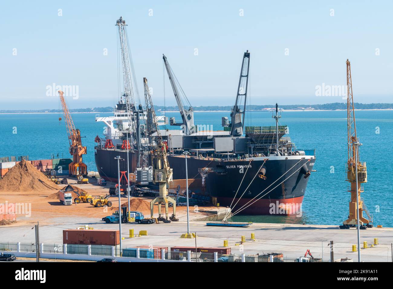 The cargo ship Silver Pegasus in the process of unloading wood chips in ...