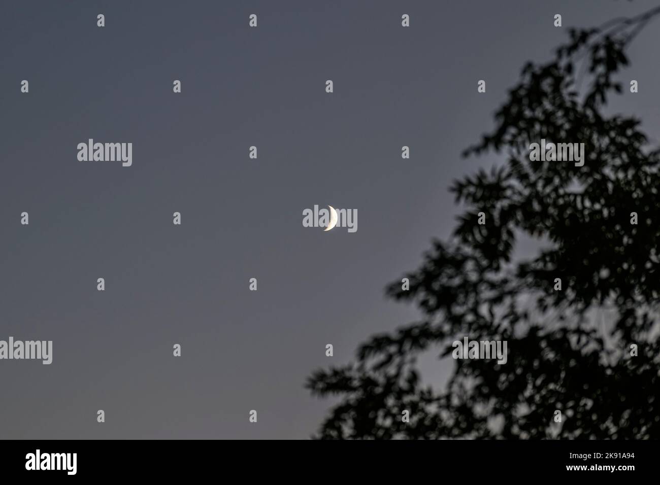 Beautiful shot half moon hi-res stock photography and images - Alamy