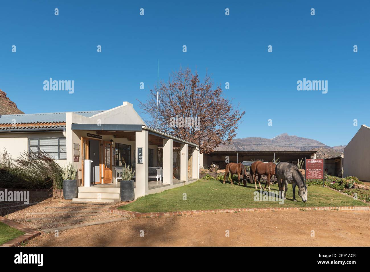 Dwarsrivier wine hi-res stock photography and images - Alamy