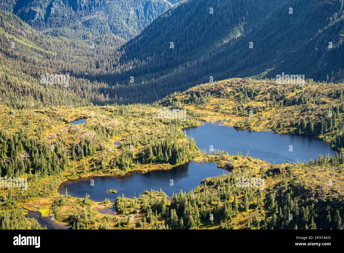 The small lakes surrounded by evergreen dense trees in Ketchikan ...