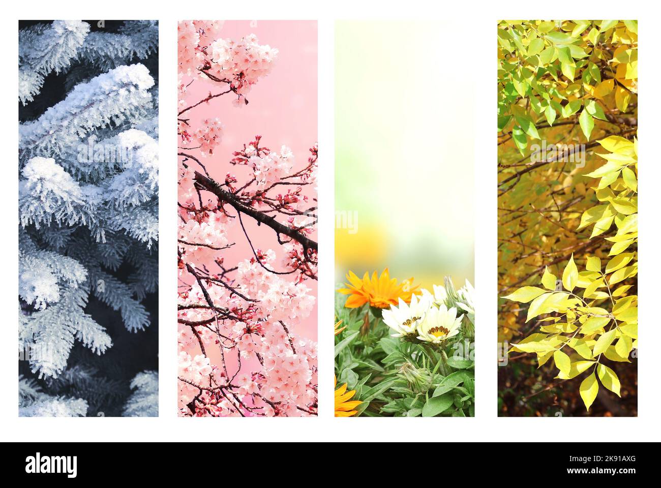 Four seasons of year. Set of vertical nature banners with winter, spring, summer and autumn ...