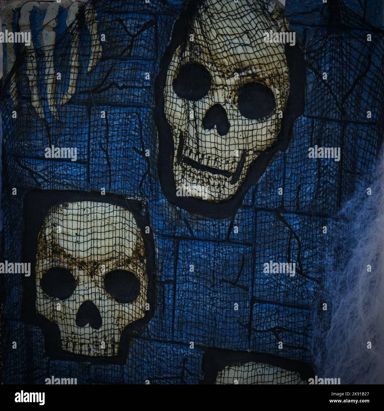 Halloween decoration with skulls and black mesh on dark blue background ...