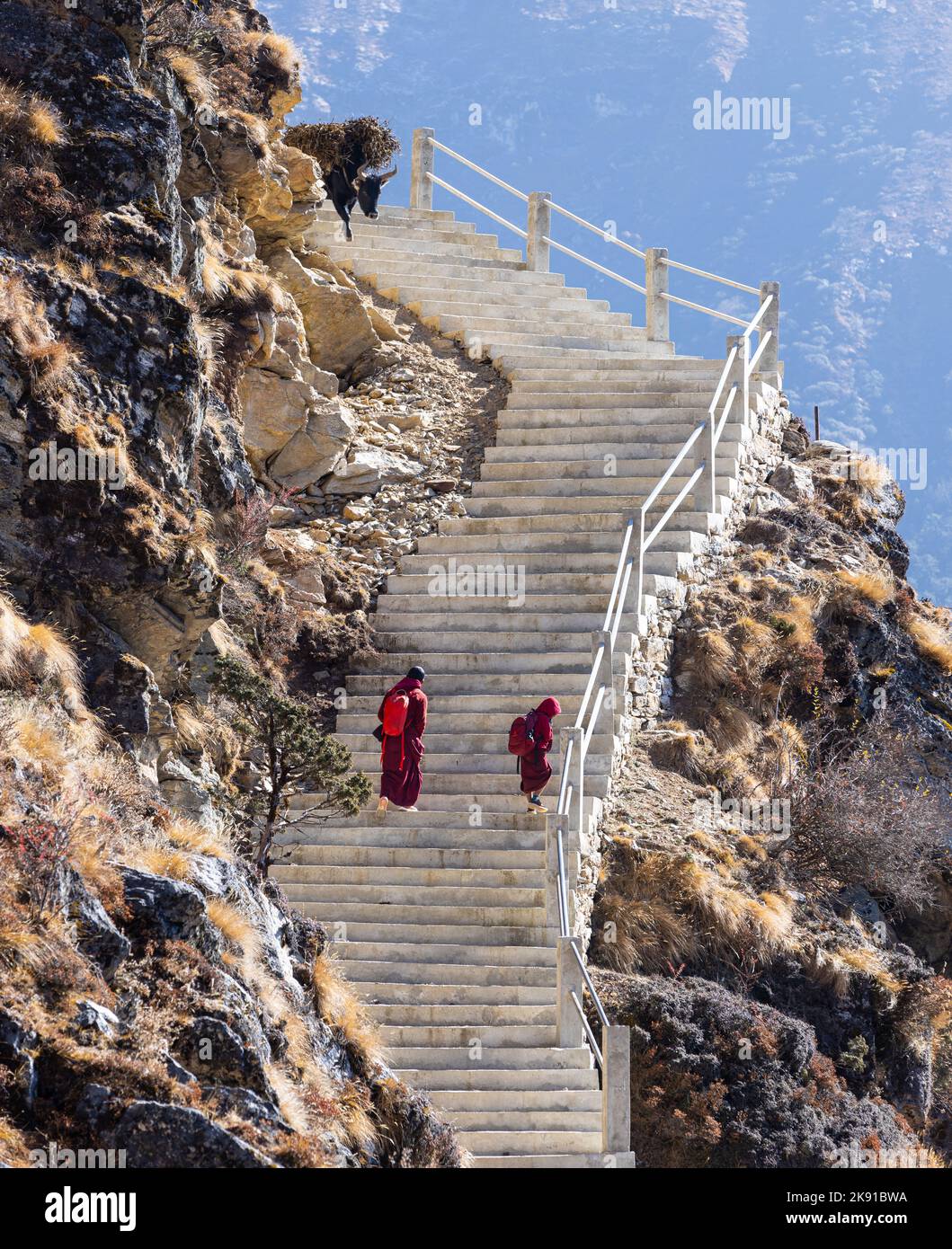 Girl climbing stairs mountain hi-res stock photography and images - Alamy