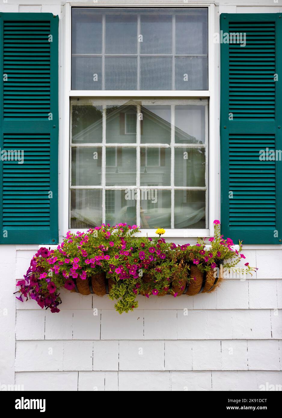 A pretty window flower box filled with colorful and cheerful blooming ...